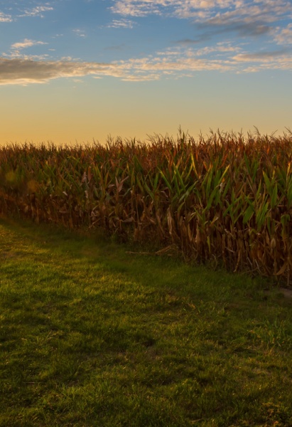 7 Common Tax Problems (With Solutions) - Intuit TurboTax Blog