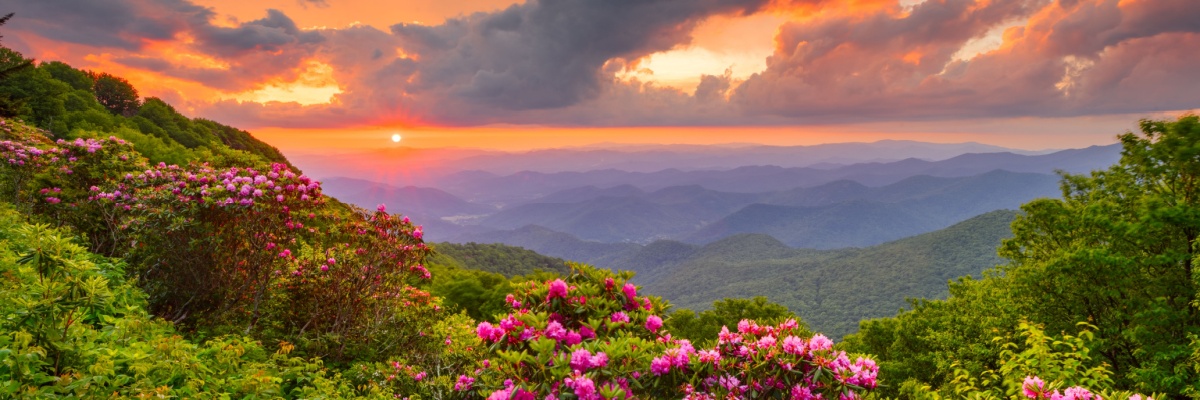 NC State Income Tax Guide - Intuit TurboTax Blog