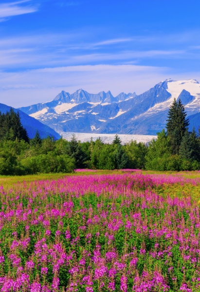 Alaska Income Tax Guide - Intuit TurboTax Blog