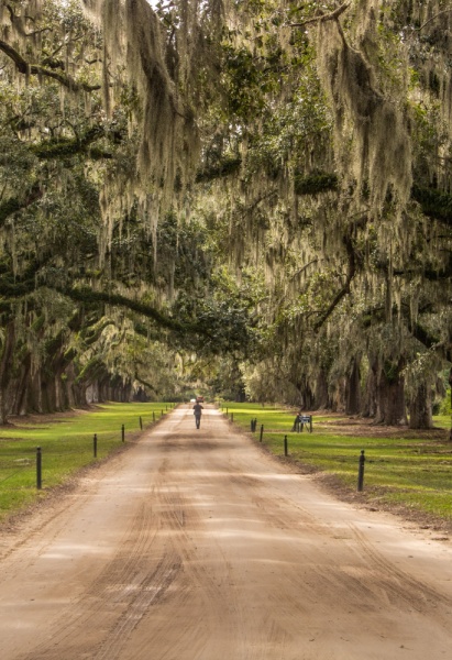 South Carolina State Income Tax Guide - Intuit TurboTax Blog