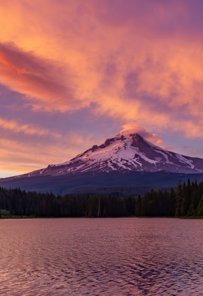 Oregon State Income Tax Guide - Intuit TurboTax Blog